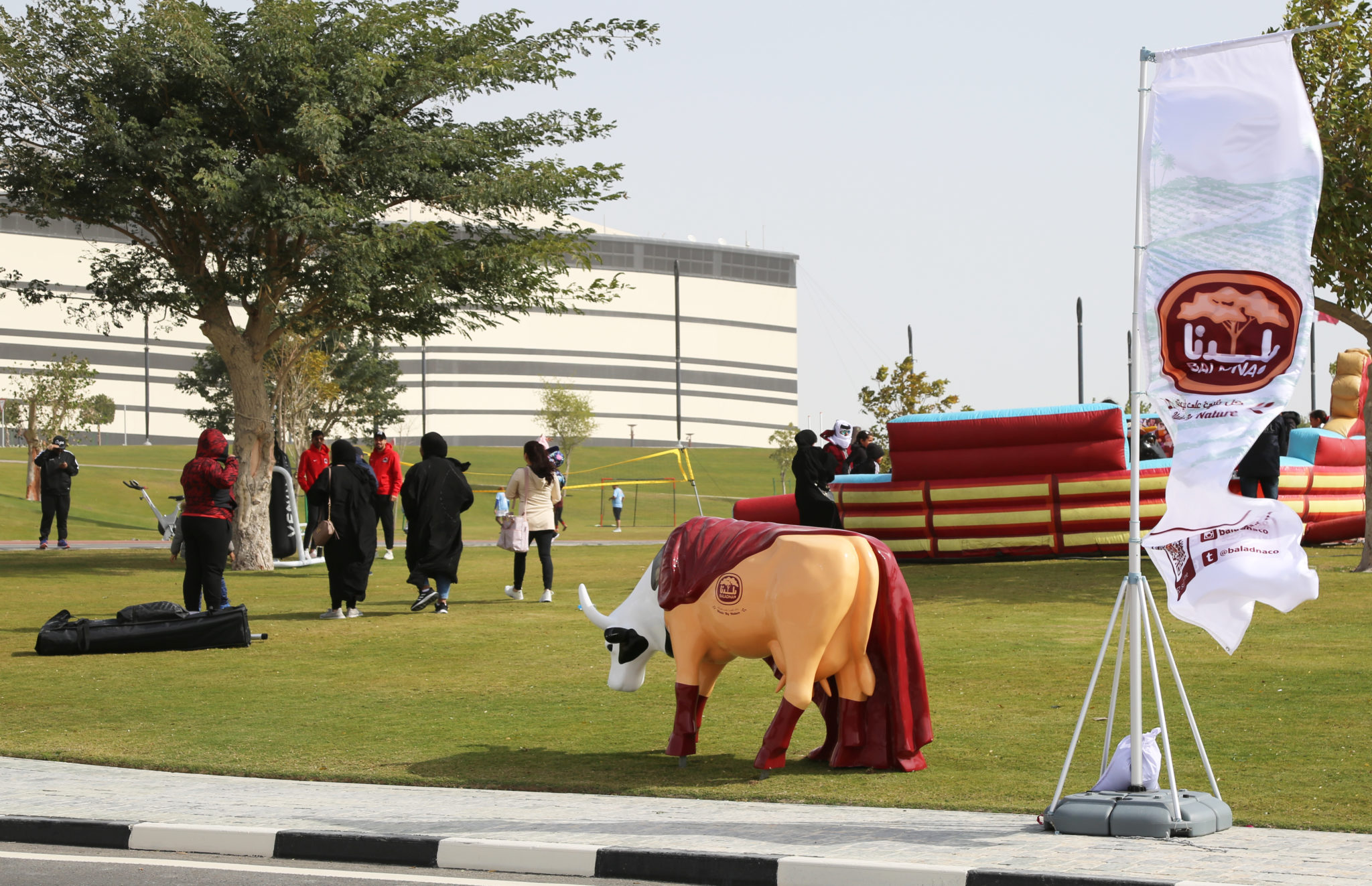 Qatar National Sports Day - Power International Holding