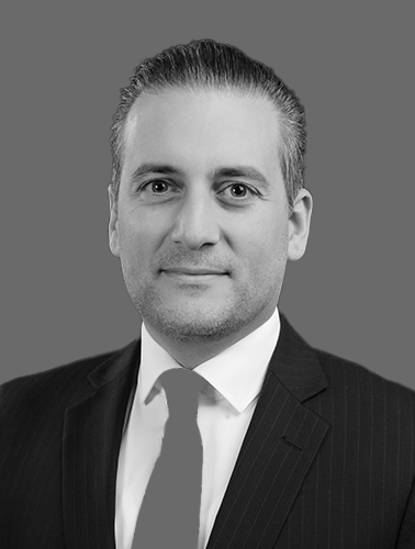 Top Management - Power International Holding